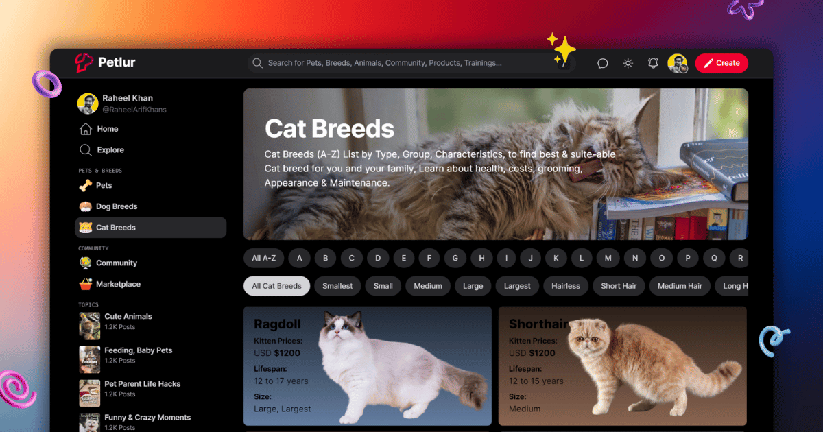 Cat Breeds Informarion, (A-Z) List of All Cat Breeds by Type, Group ...